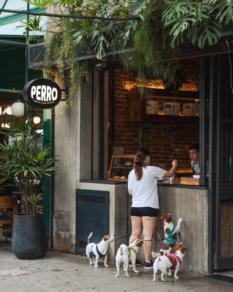 Cafeterias pet friendly en Buenos Aires para tu peludo favorito