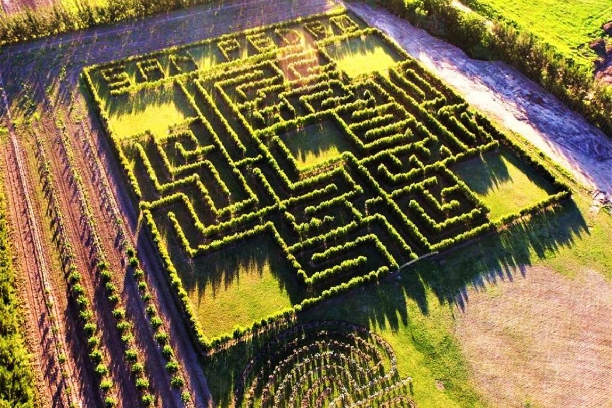 El laberinto vegetal gratuito a sólo 2 horas de CABA, diseñado por ...