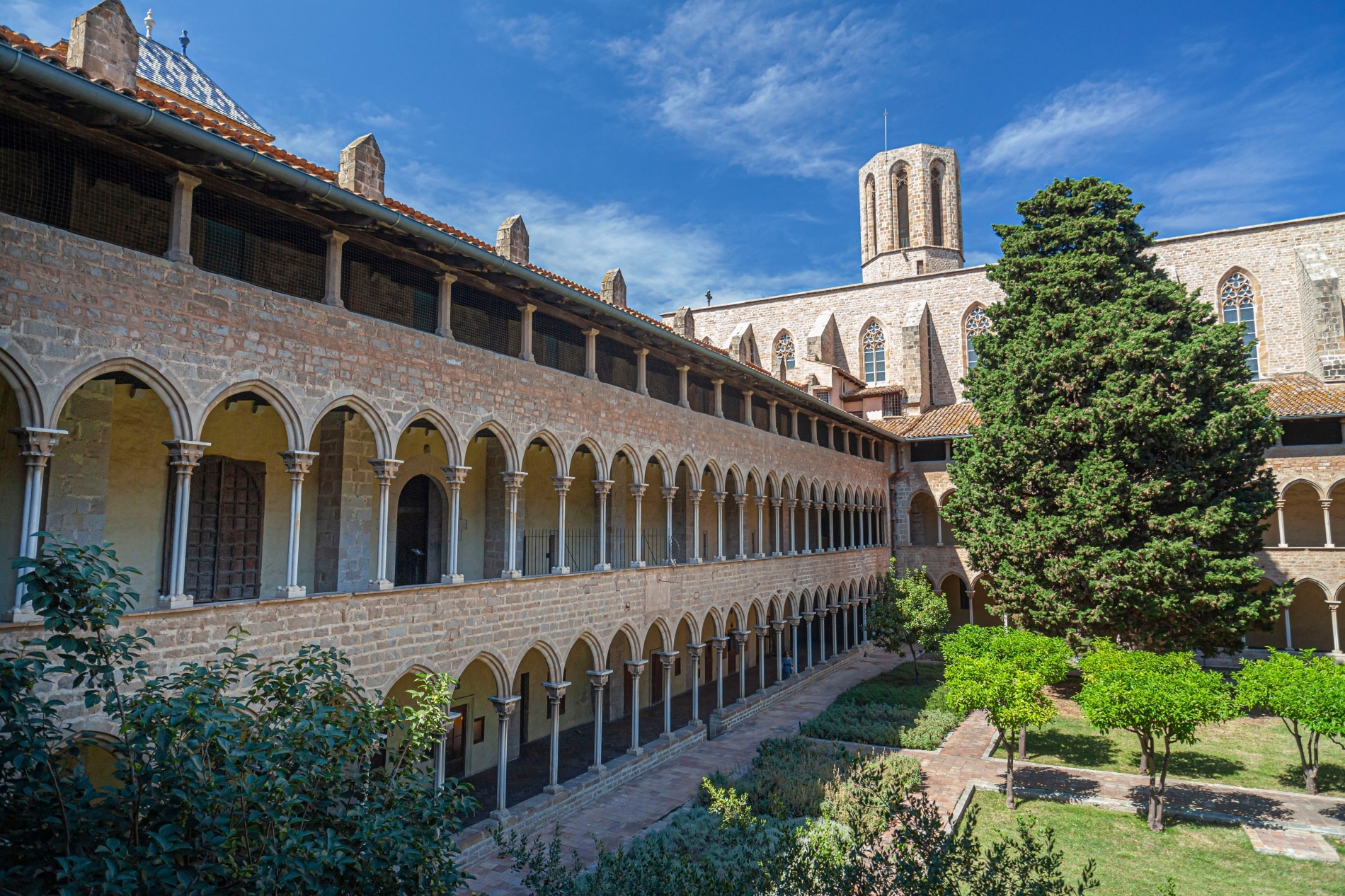 The Medieval Orchard In Barcelona That Plants Fruit From The Middle Ages