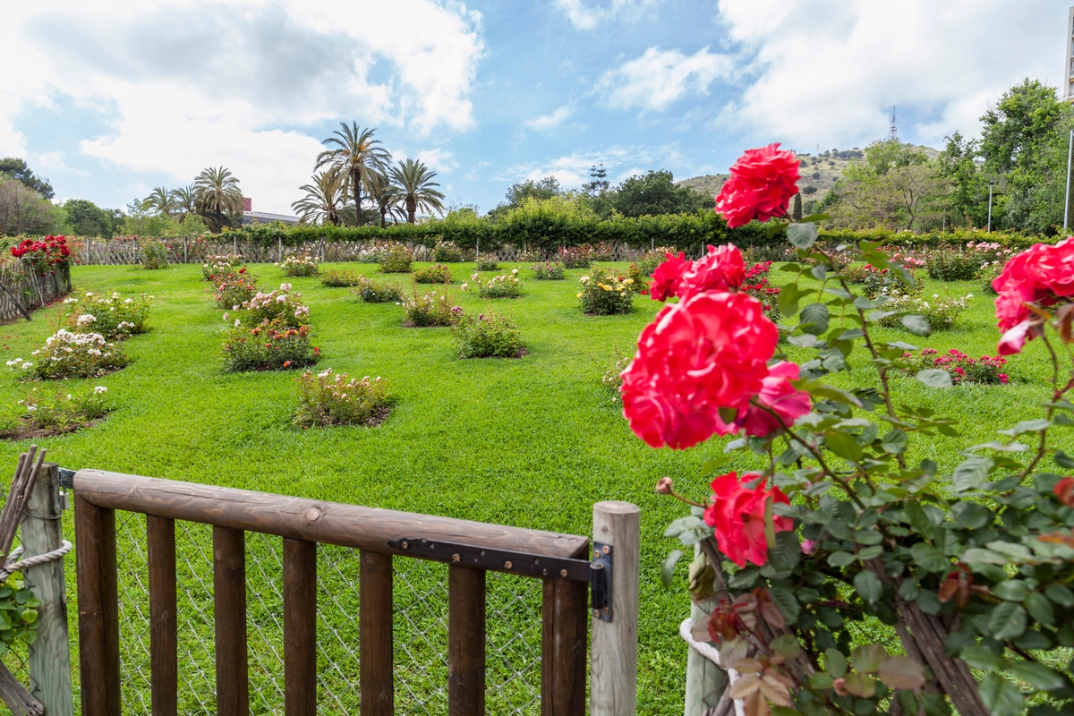El parque de BCN con miles de rosas que están floreciendo ahora