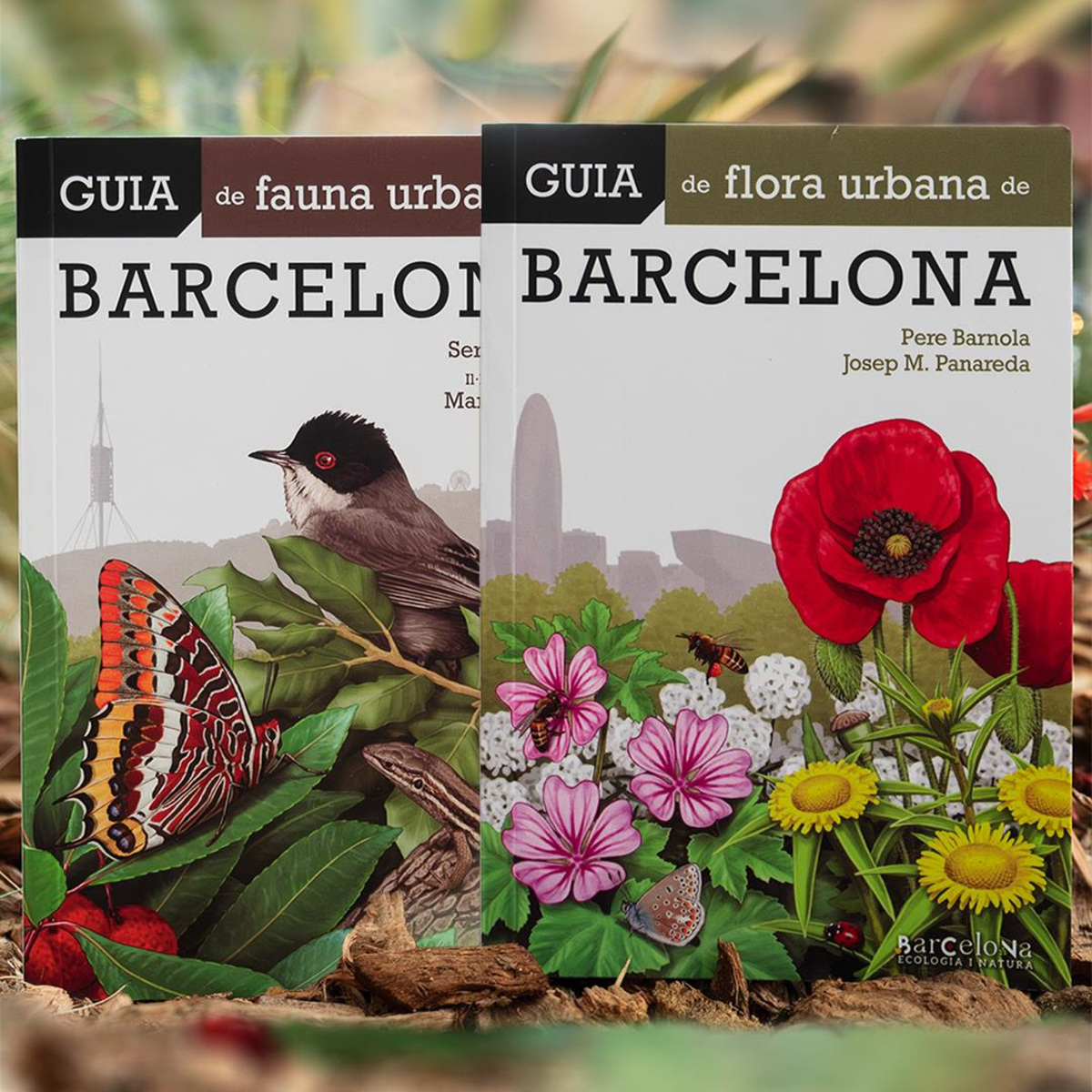 ¿Qué árbol es ese? Nacen dos guías de flora y fauna de BCN