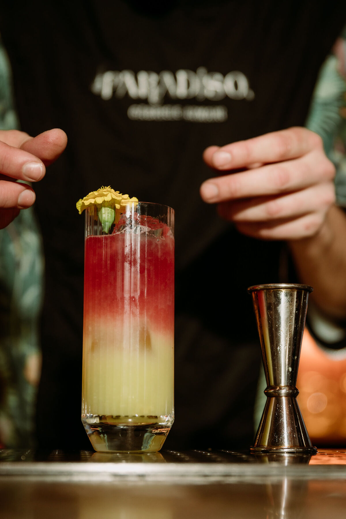 Paradiso Fest: os melhores bares de cocktails de 6 países, a 6 euros ...