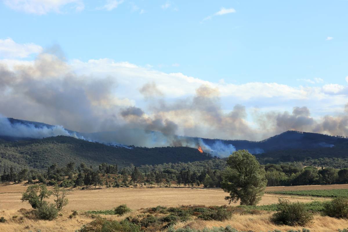 Roads cut off in Catalonia due to the fire in France: clouds of smoke ...