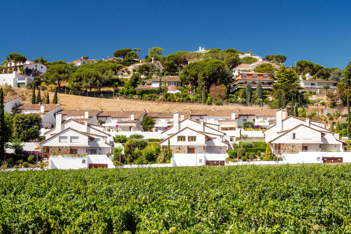 The village of vineyards overlooking the sea 20 minutes from Barcelona ...