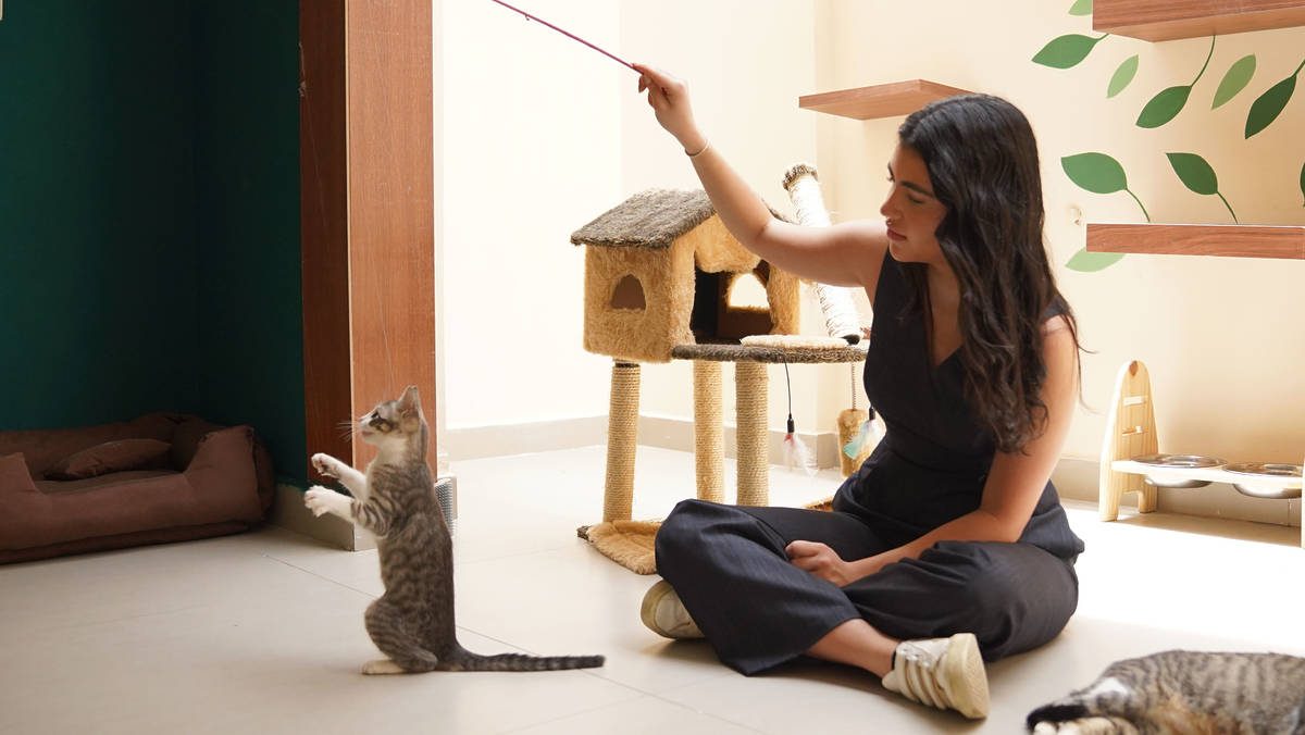 Pet Café: conheça a primeira cafeteria animal de Belo Horizonte