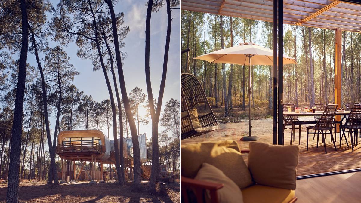 Les Landes de Gascogne : une expérience insolite en pleine nature