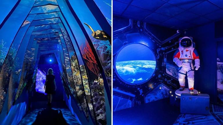 Science Expériences, un musée immersif au cœur des sciences a ouvert ...