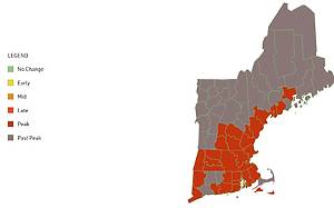 This Fall Foliage Map Shows When Leaves Peak In Boston