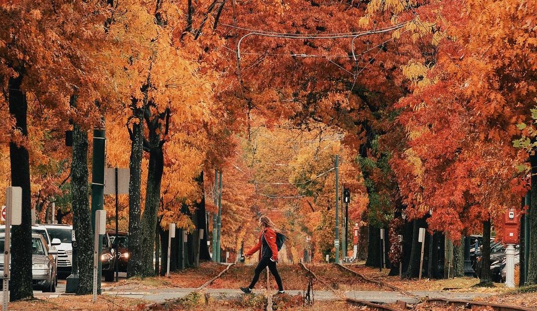 10 Beautiful Shots That Prove Boston Looks Absolutely Stunning In The Fall
