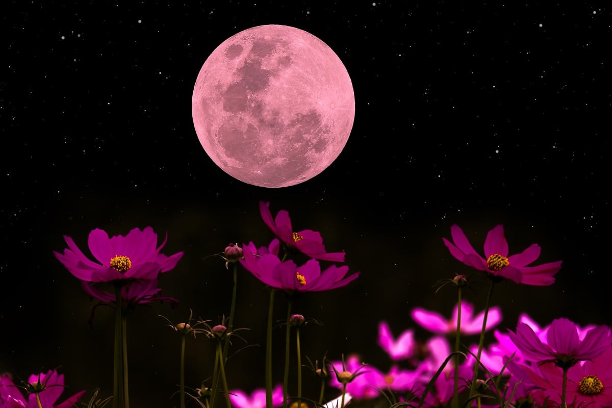 Don’t Miss The Stunning 'Super Pink Moon' This Week