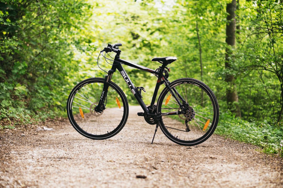 5 Scenic Bike Paths In Boston To Explore This Spring