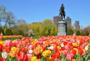 21 Fantastic Things To Do In Boston In April - Boston Uncovered