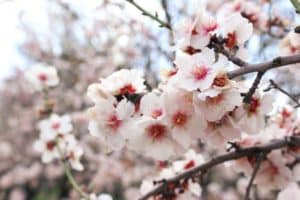 21 Fantastic Things To Do In Boston In April - Boston Uncovered