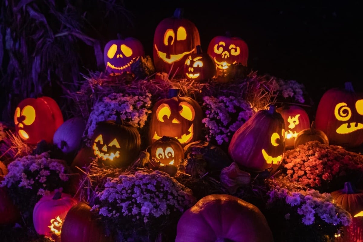 Find 1,500 Jack-O-Lanterns At Beverly's Halloween On The Hill