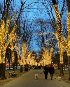 10 Wonderful Things To Do In Boston This Winter