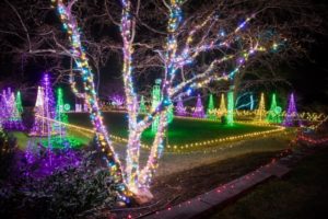 29 Fantastic Things To Do In Boston This November