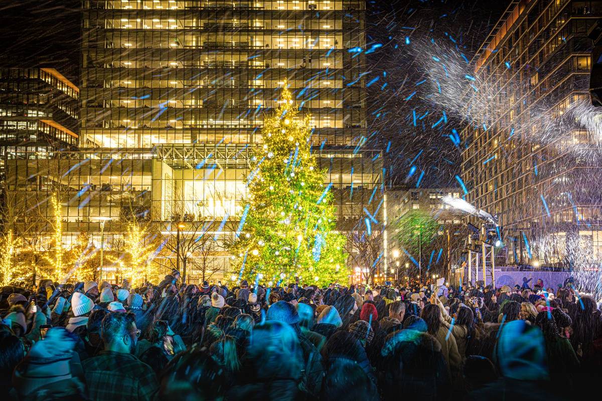 Boston's Tallest Tree Lighting Ceremony Returns This Week—With An ...