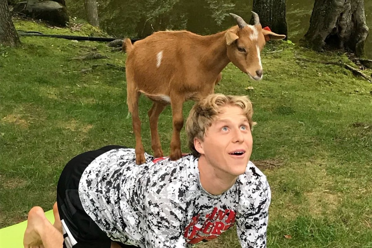 This 50-Acre Goat Farm In Georgetown, MA Has Goat Yoga