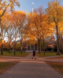 5 Things To Do In Harvard Sqaure That Are Incredibly Iconic