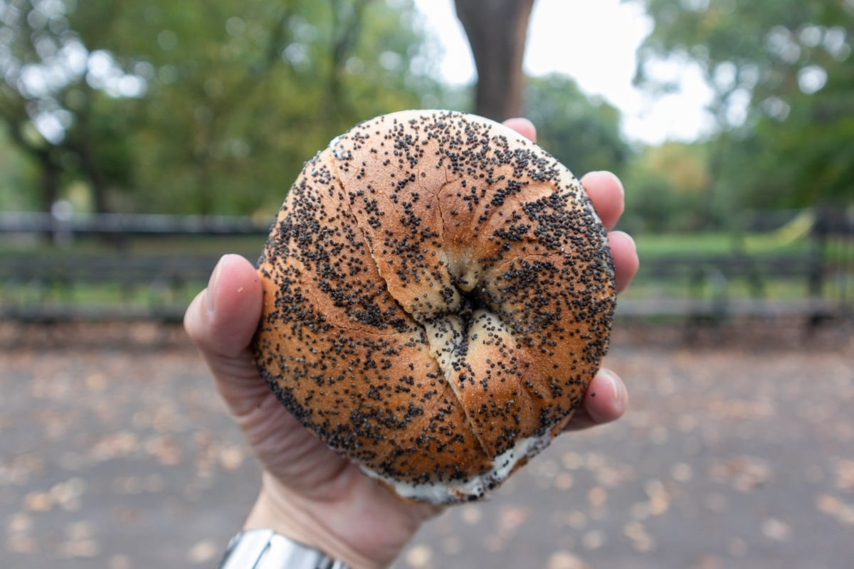12 Best Bagels In Boston That Will Change Your Life