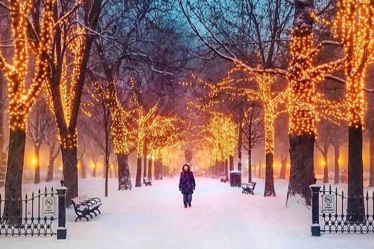 17 Festive Things To Do In Boston This December