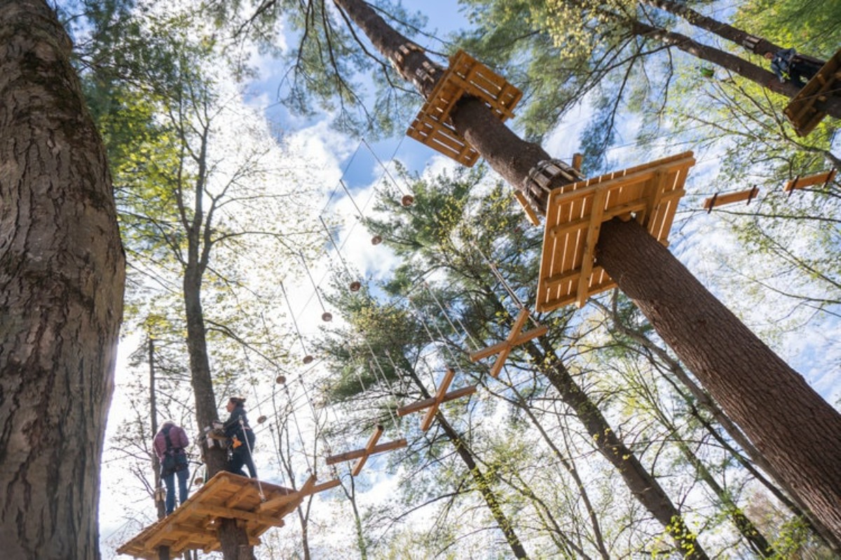 This Forested Treehouse Zipline Park Is Only 30 Minutes From Boston