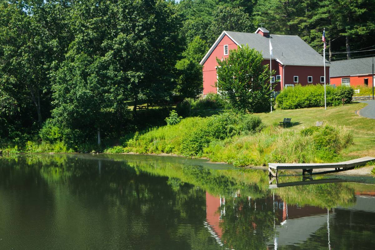 Deadly EEE Virus Spreads In Massachusetts: How To Stay Vigilant