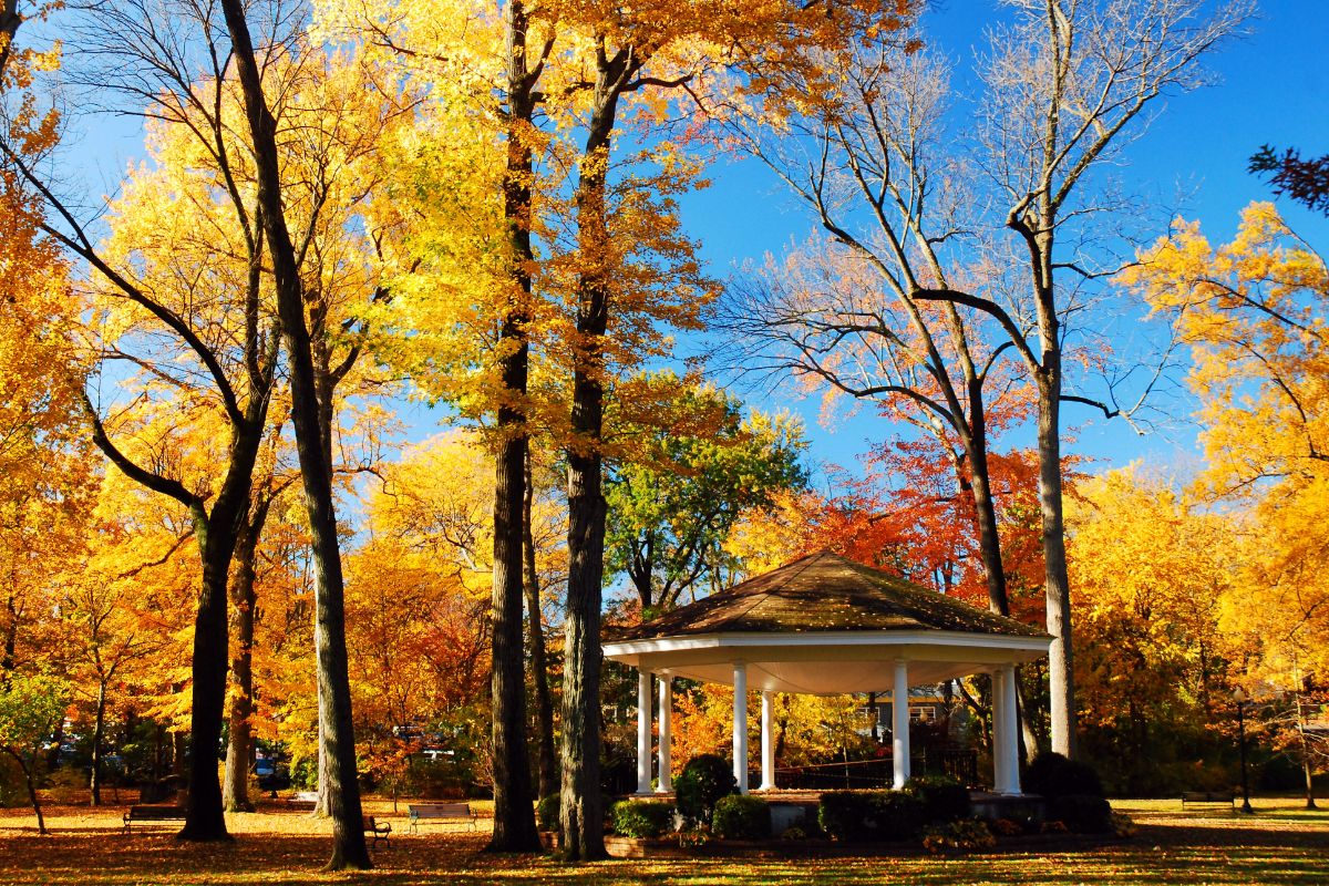Where To Enjoy The Splendor Of Connecticut's Fall Foliage