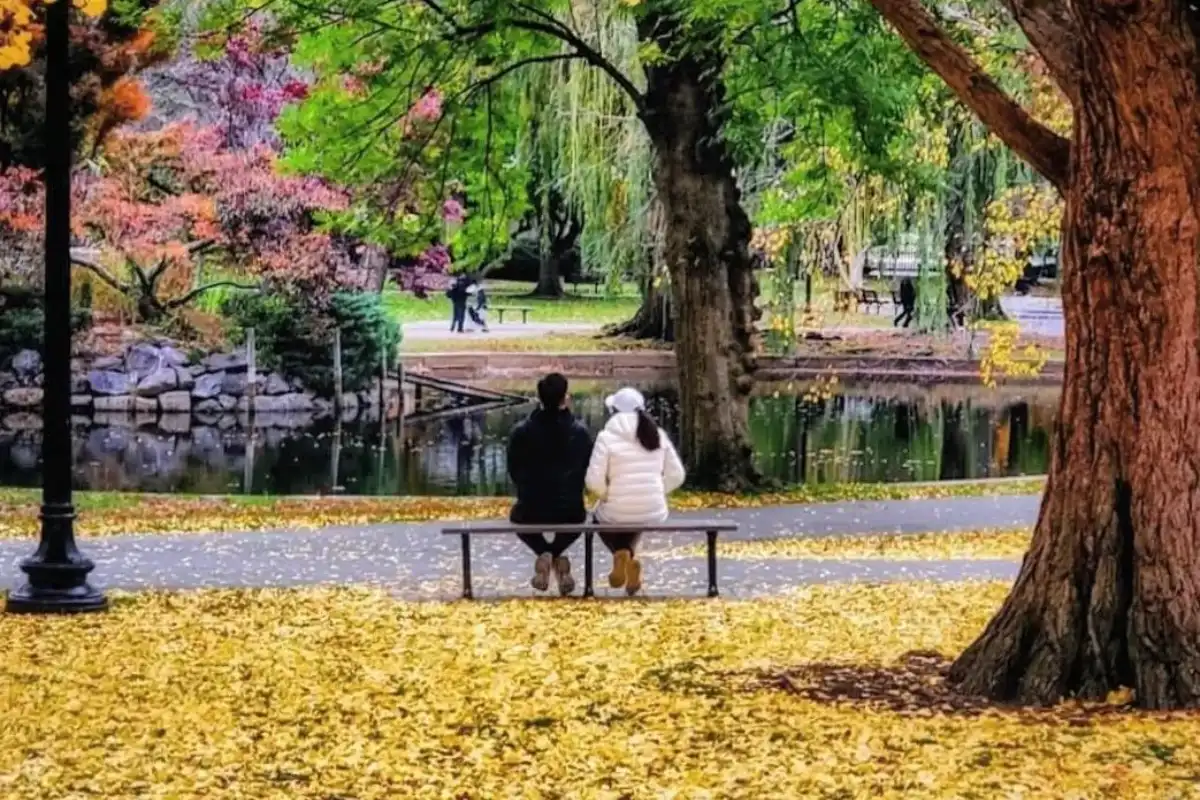 New Study Reveals 'World's Coziest City,' And It's Not Boston