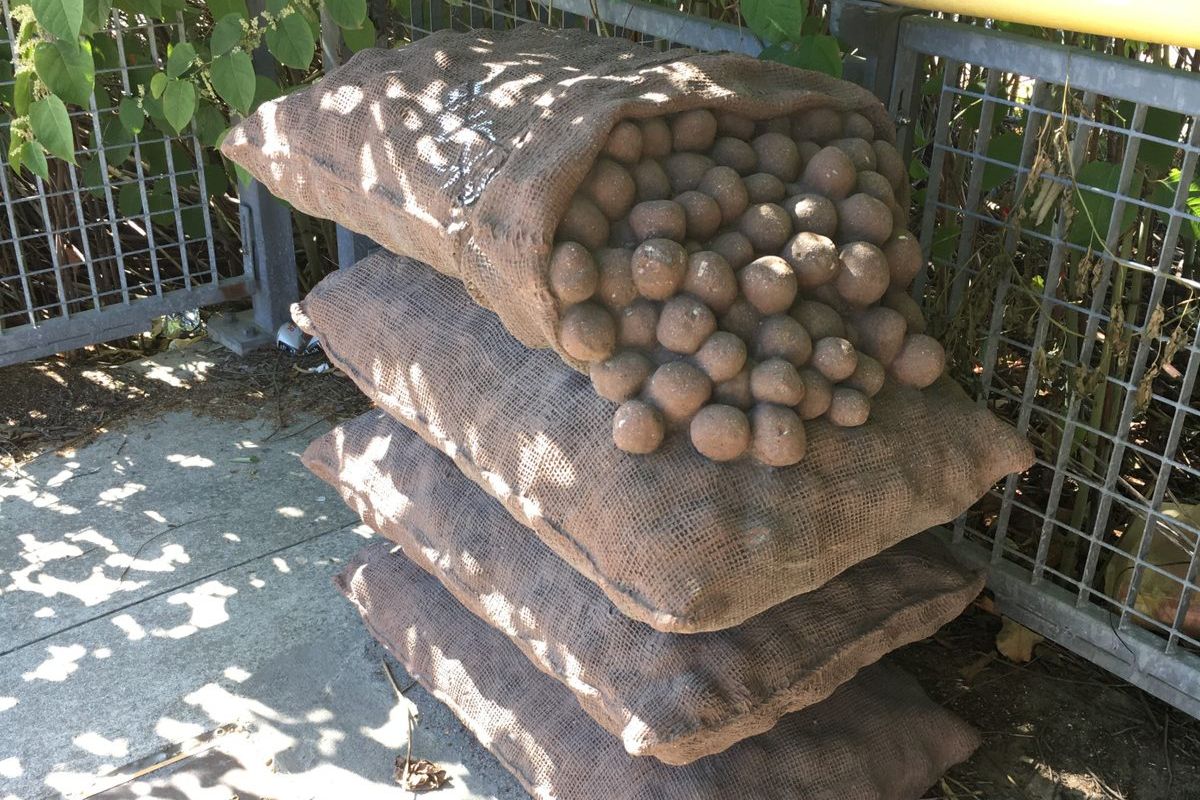 The Story Of Boston's Millers River Potato Monument