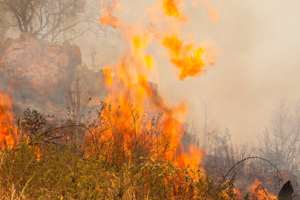 Brush Fires Continue To Break Out Across Massachusetts
