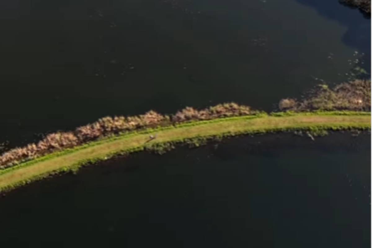 This 151-Acre Hidden Park Is Just 30 Minutes From Boston—With Floating ...