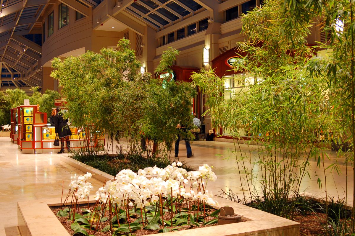 10 Best Malls In Boston—From The Largest To The Ritziest