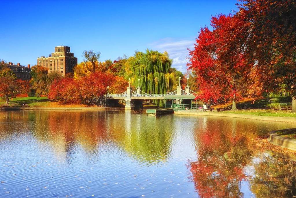 Here's When Peak Foliage Will Transform Boston Into A Canopy Of ...