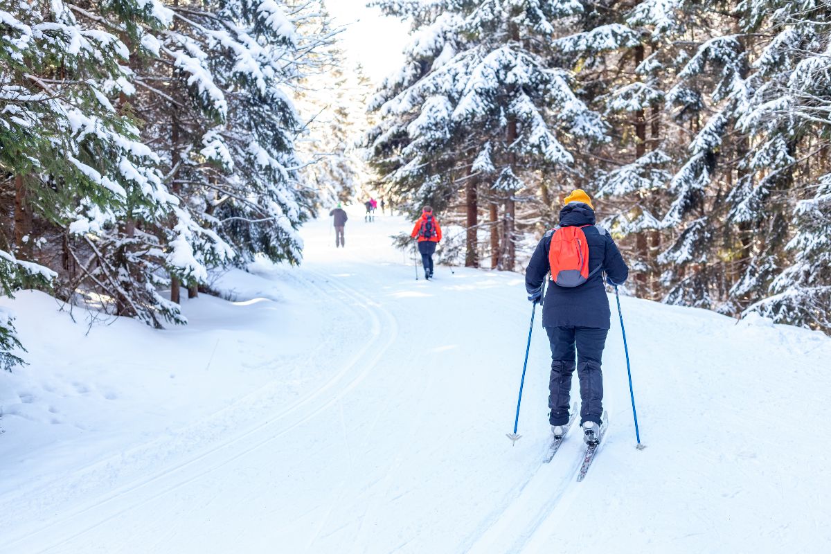 Boston’s Closest Winter Escape: This Scenic Ski Track Is Just 15 ...