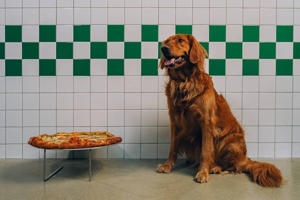 Seaport's first-ever slice shop debuts next week with New York-style ...