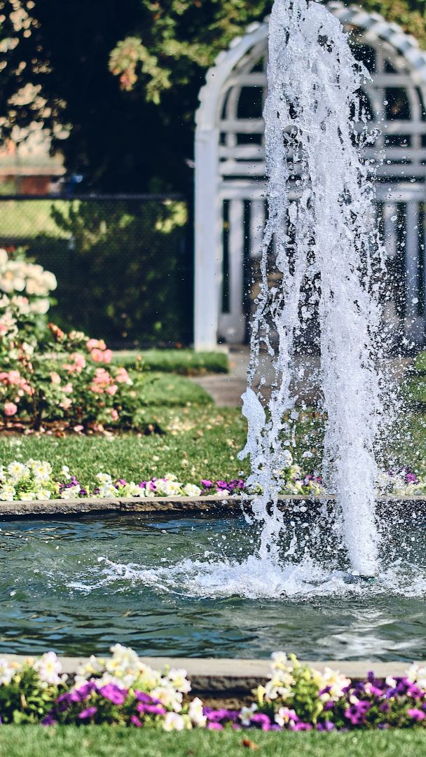 New England's award-winning rose show arrives this weekend at this 36 ...