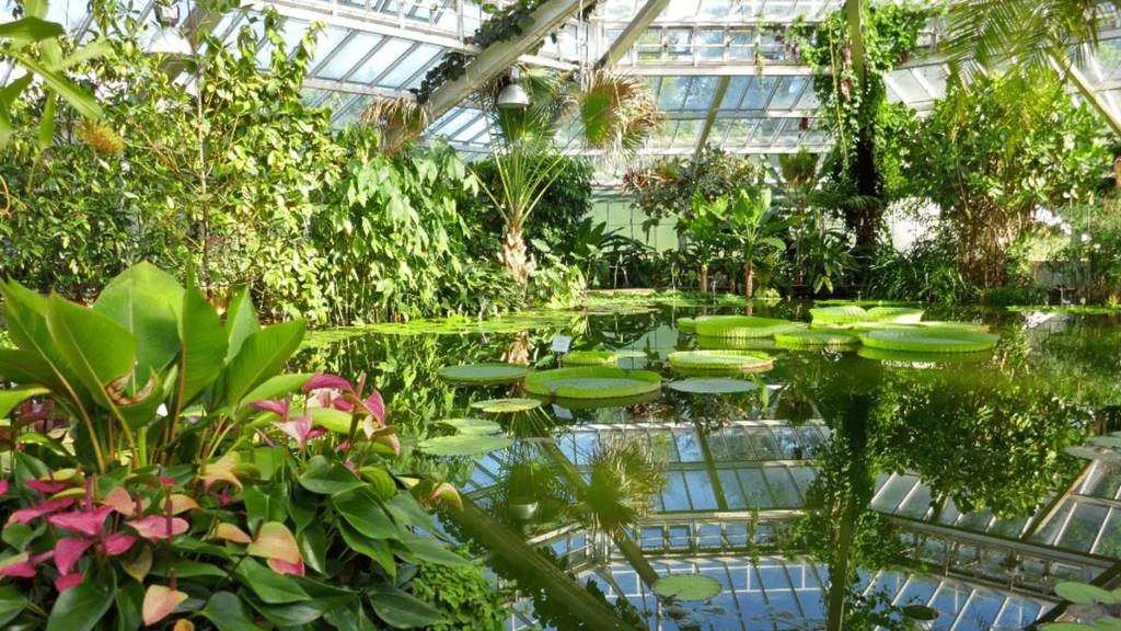 Parks and gardens of Brussels: here are the most beautiful!