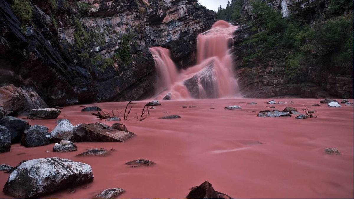 Cette incroyable cascade devient entièrement rose une fois par an