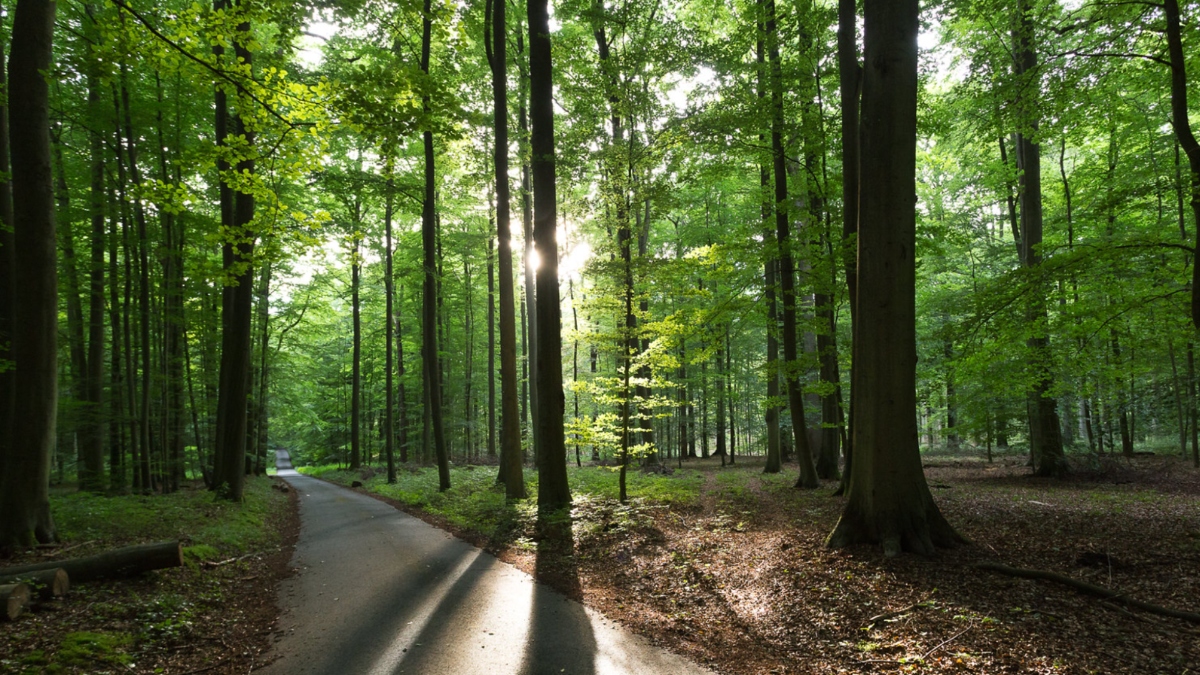 La Promenade Verte : 7 spots à découvrir en vélo près de Bruxelles