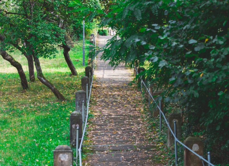 Que faire à Evere ? Nos idées de sorties et activités