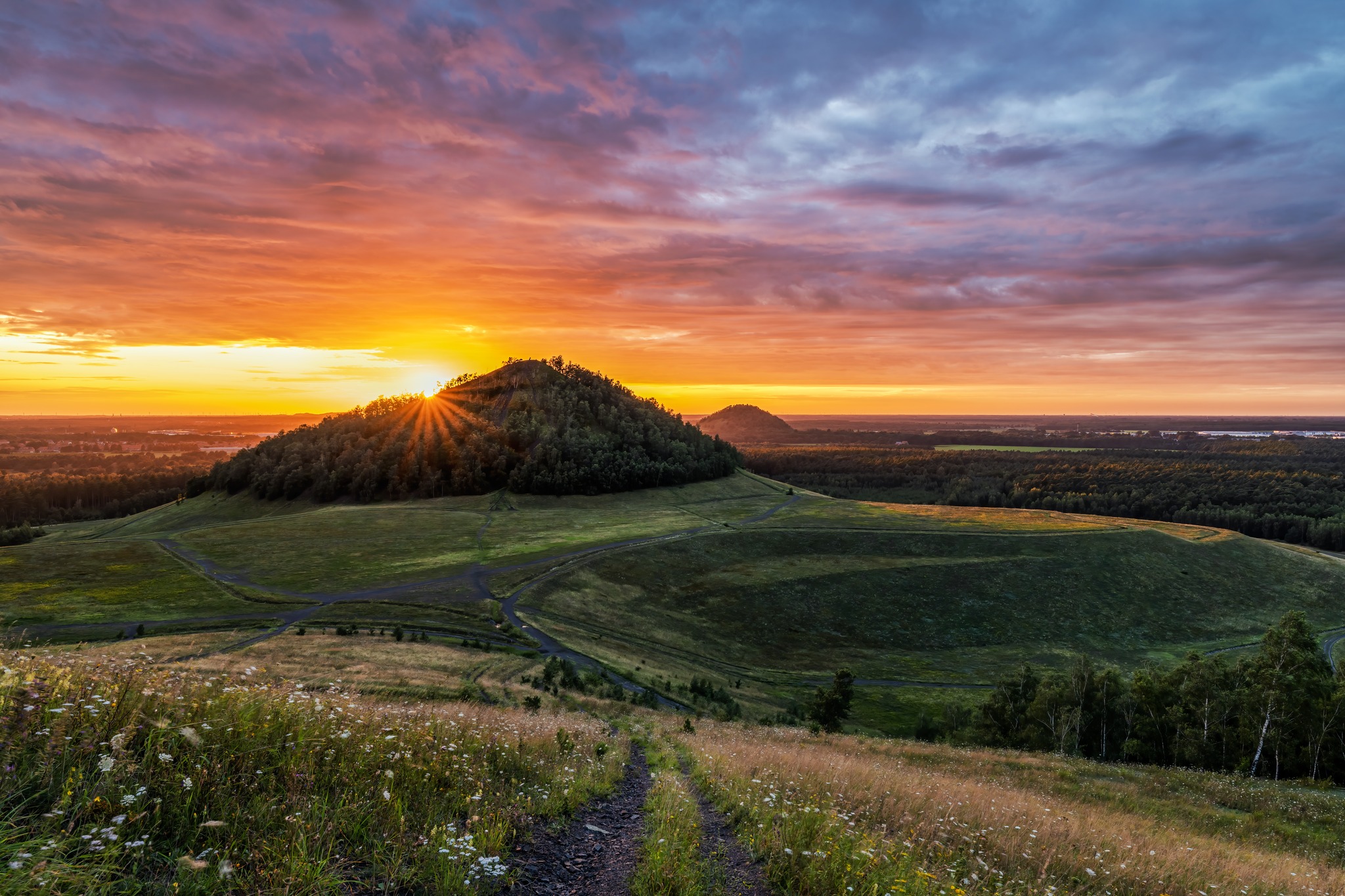 National Park Trail : 110 km de randonnée dans le Limbourg