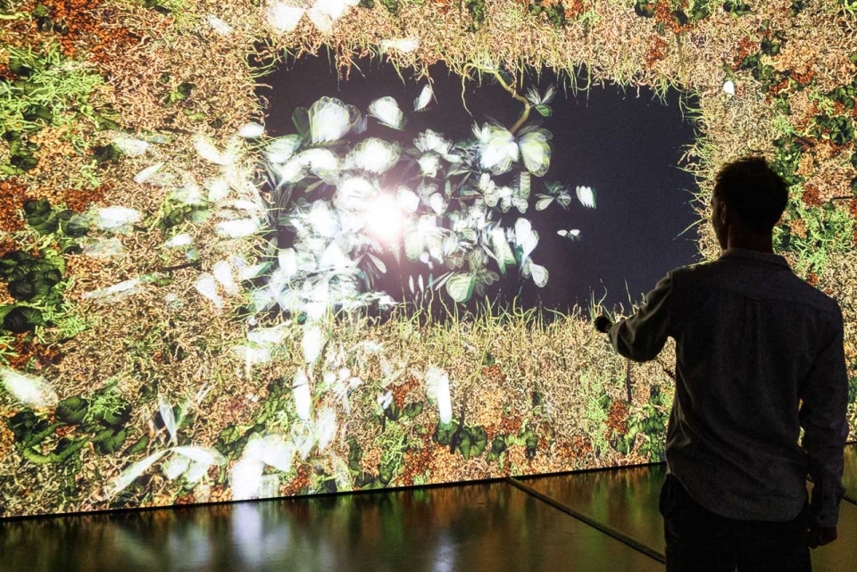 Une magnifique exposition immersive et interactive sur la nature à ...