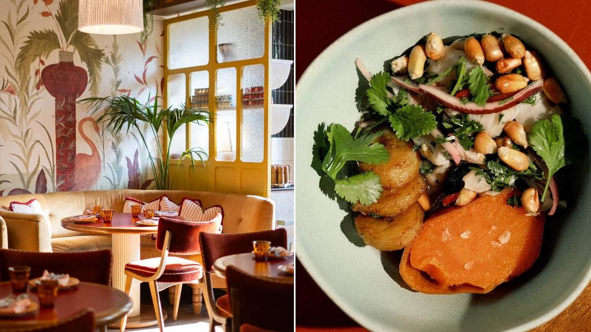 Ceviche in Brussels: 5 must-visit spots