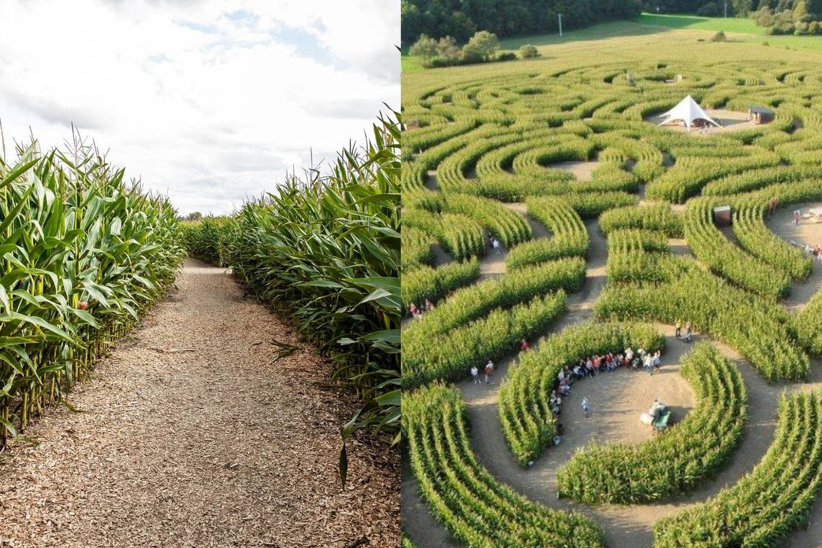 This giant labyrinth will soon reopen in Durbuy: a magical adventure ...