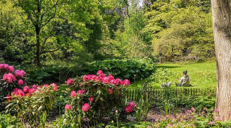 Parks and gardens of Brussels: here are the most beautiful!