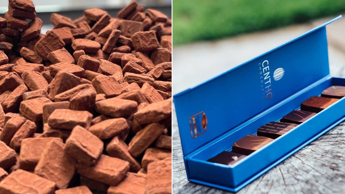 Voted best chocolate factory in Belgium by Gault&Millau, this Brussels ...