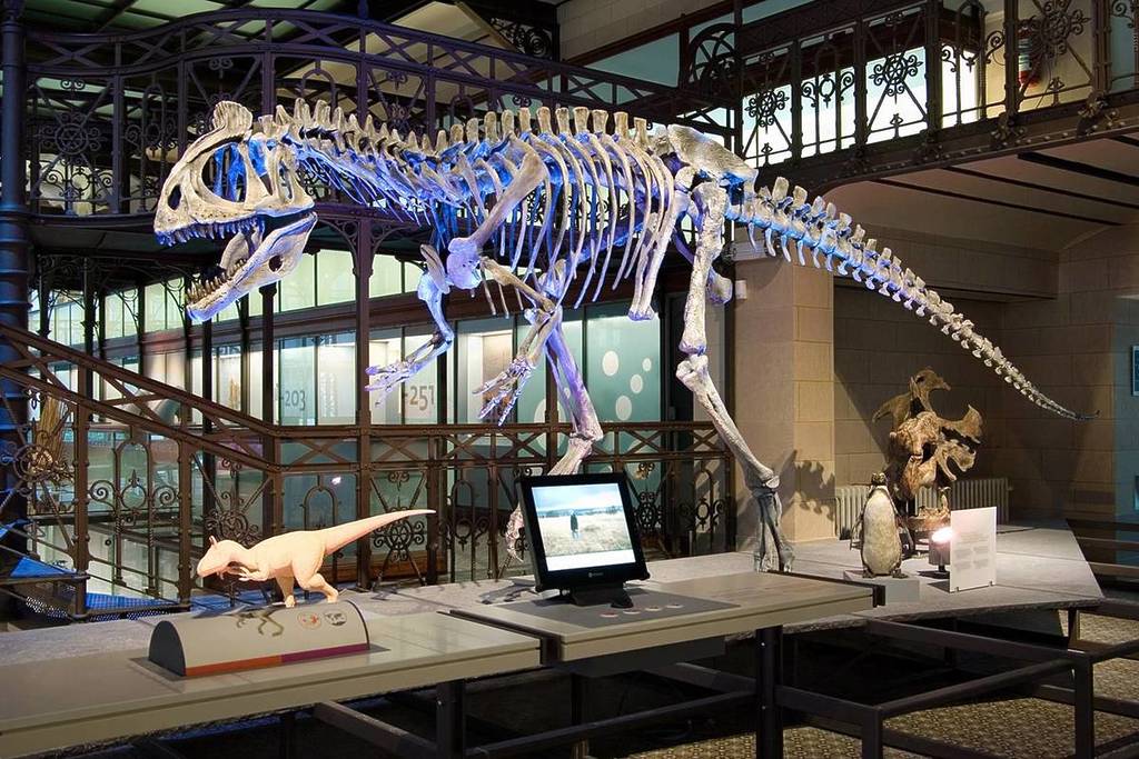 Night at the Museum for real? In Brussels, sleep among the largest ...
