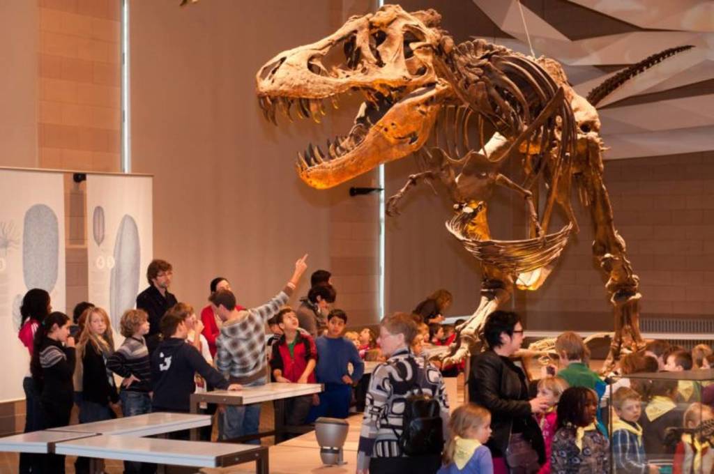 Night at the Museum for real? In Brussels, sleep among the largest ...