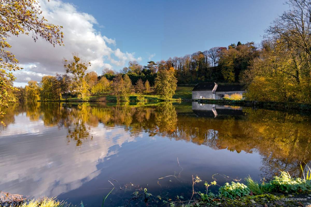 Just 90 minutes from Brussels, this medieval town is one of the most ...